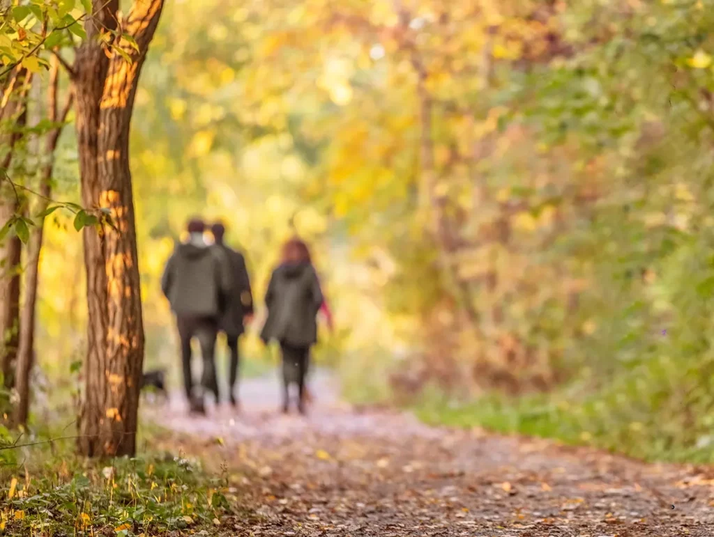 The Nature Trail at Harmony Place: Embrace Wellness and the Outdoors ...