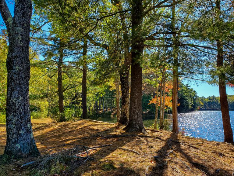 Why Rutland is the Perfect Place for Your Next Chapter - Harmony Place ...
